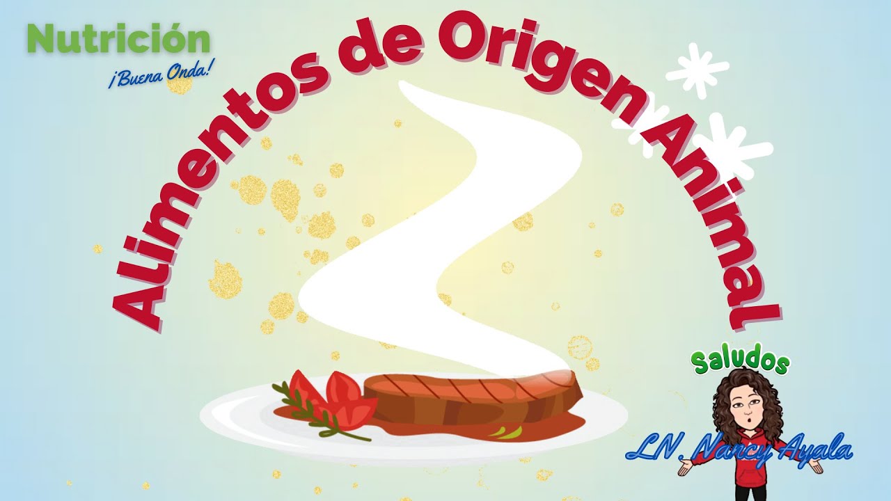 Que Aportan Los Alimentos De Origen Animal - 2026